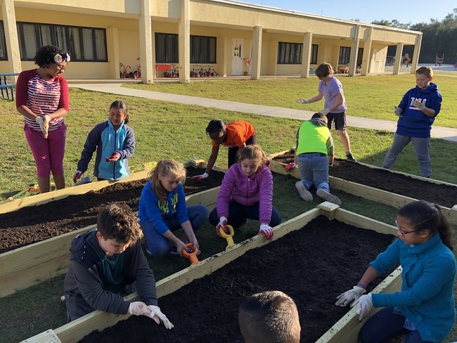 Tavares Elementary School Garden