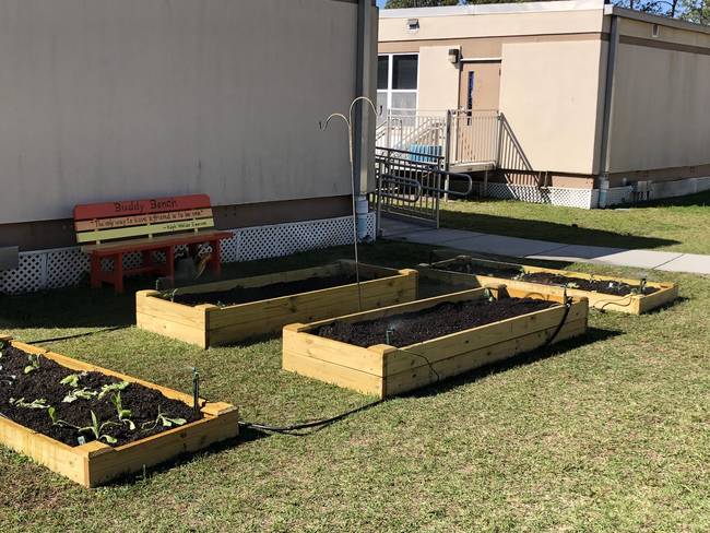 Tavares Elementary School Garden
