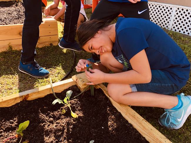 Tavares Elementary School Garden