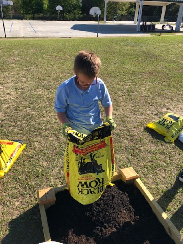 Lost Lake Elementary School Garden